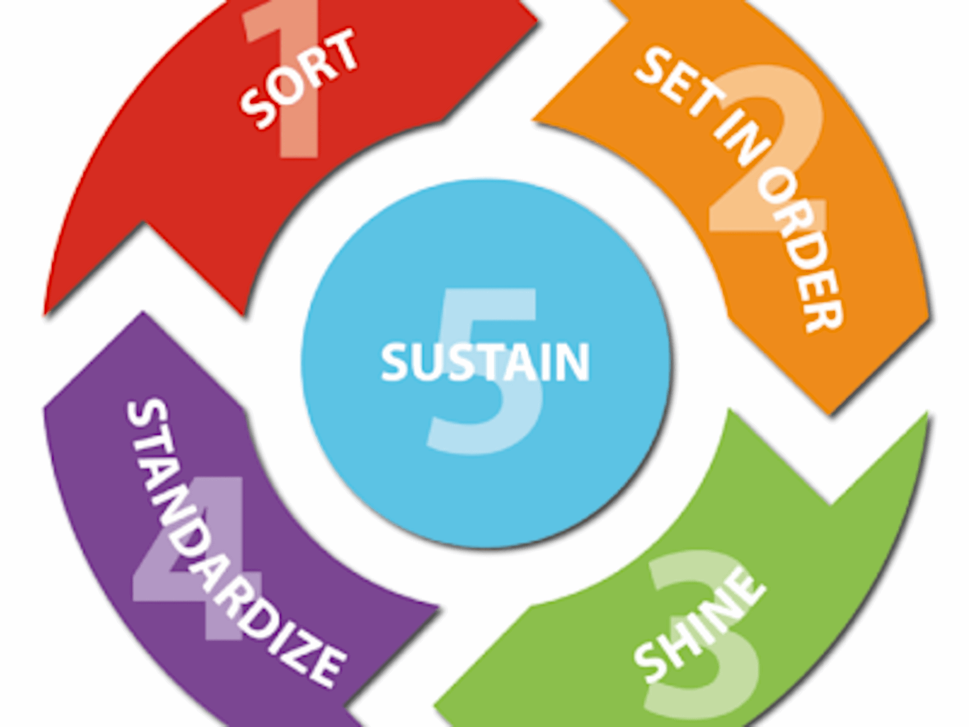 The Five Pillar Strategy for a Lean Workplace - Biotility